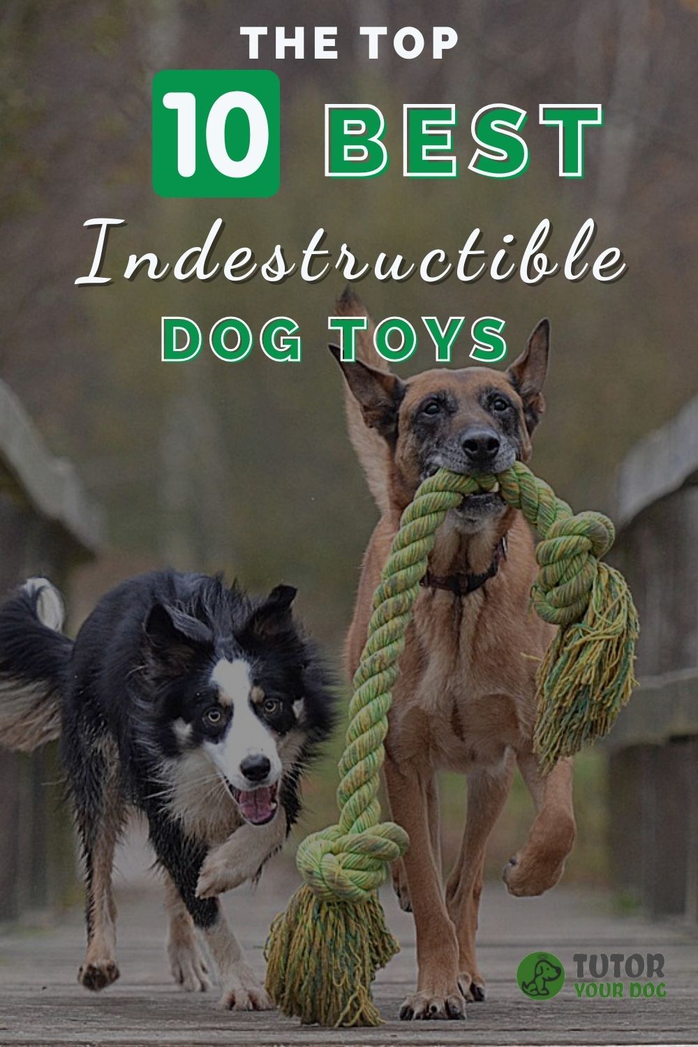 The Top 10 Best Indestructible Dog Toys For Aggressive Chewers - Tutor ...